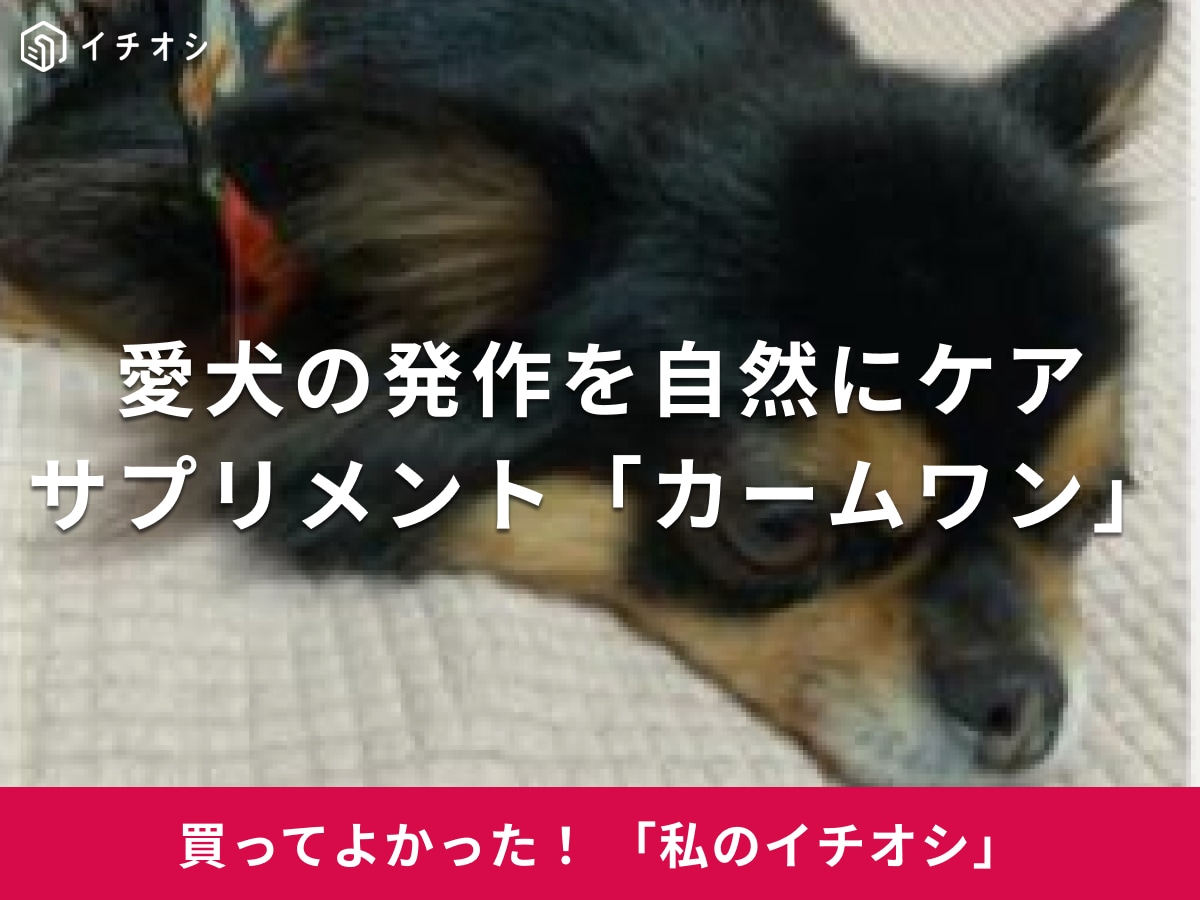 愛犬ふりかけサプリ「カームワン」は愛用フードと相性よし！気圧病に悩むチワワ・チャッピーちゃんの食いつき最高（40代女性） | イチオシ | ichioshi