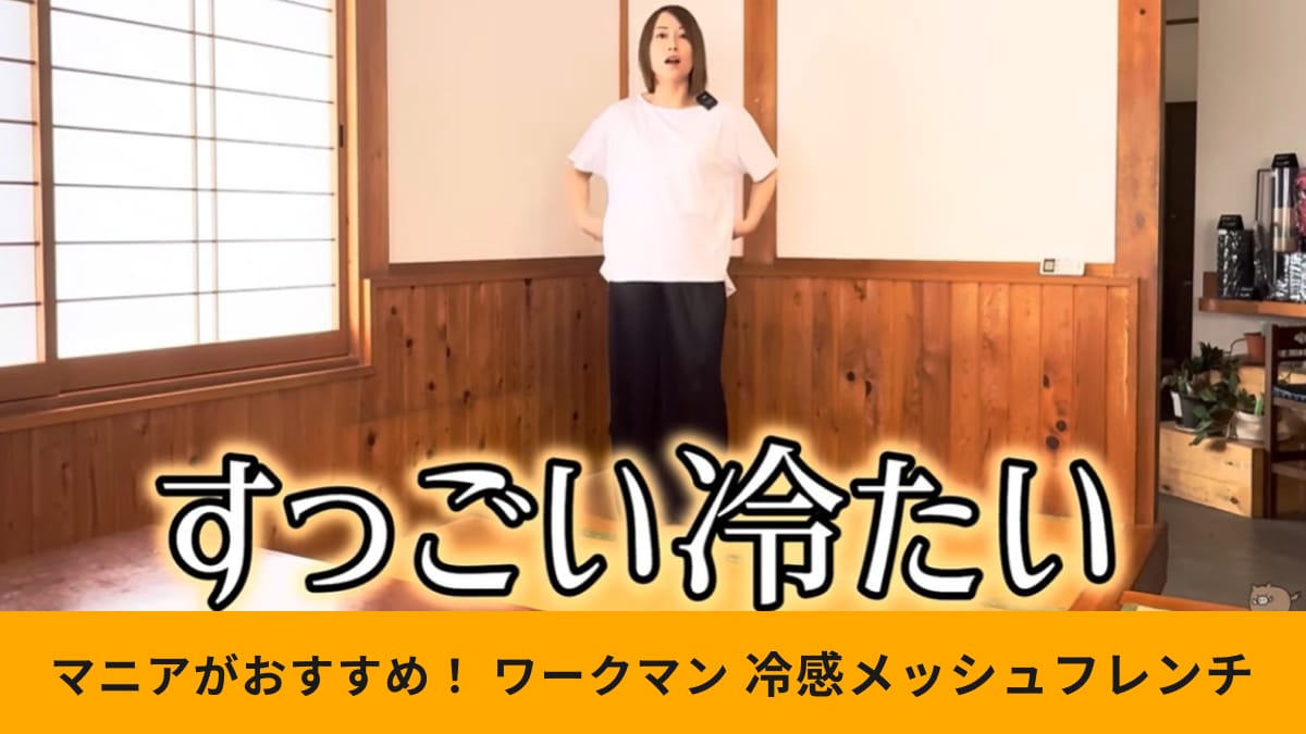 「すっごい冷たい！」ワークマンの「冷感メッシュTシャツフレンチ」はアンバサダーも驚きの冷感機能付き！ | イチオシ | ichioshi